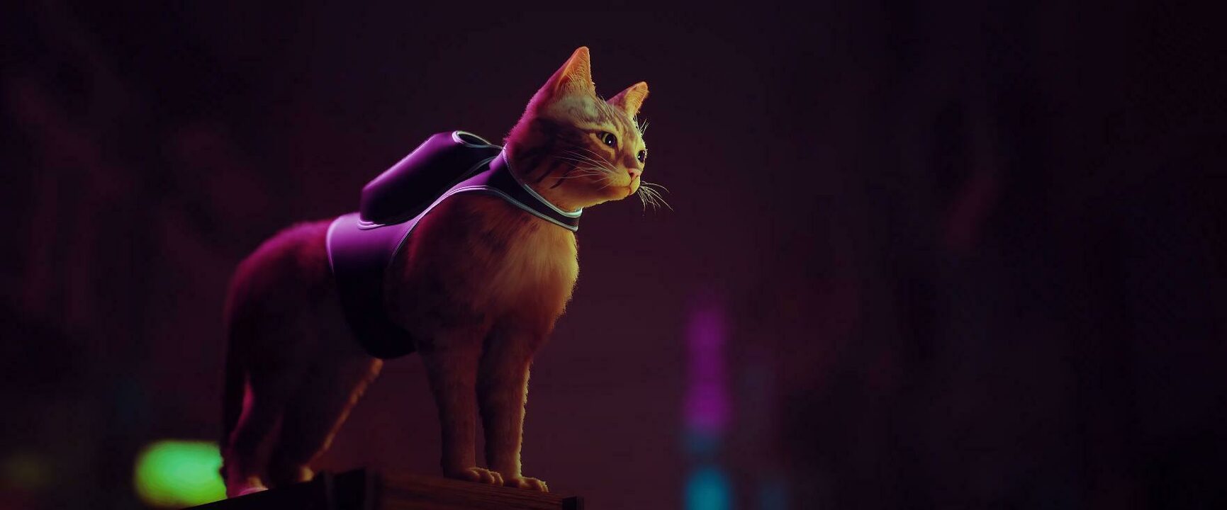 Buy Stray PS5 CD! Cheap game price | ENEBA