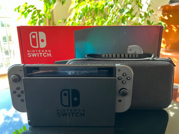 Comprar Nintendo Switch V2 Grey + Dėklas